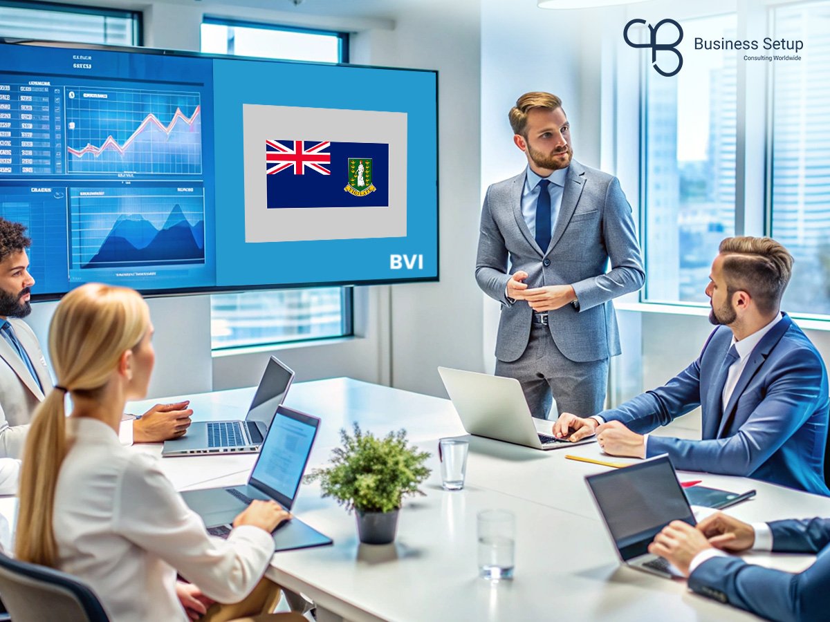 All You Need to Know About BVI Offshore Company Formation - Its Released