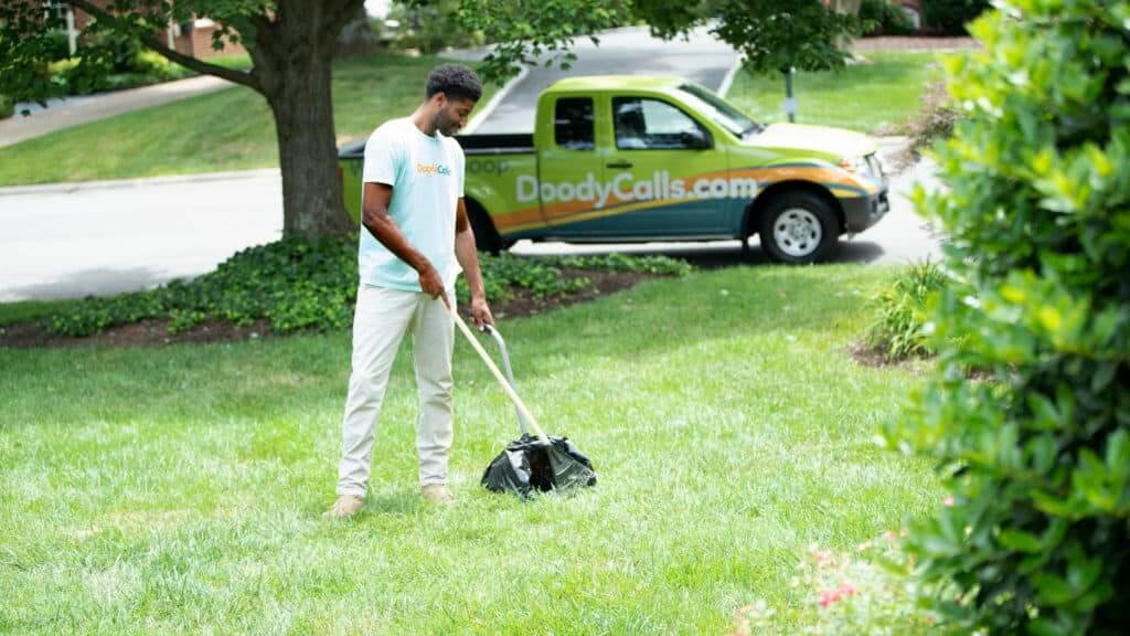 How Professional Pooper Scooper Services Help Maintain a Safe and Eco ...